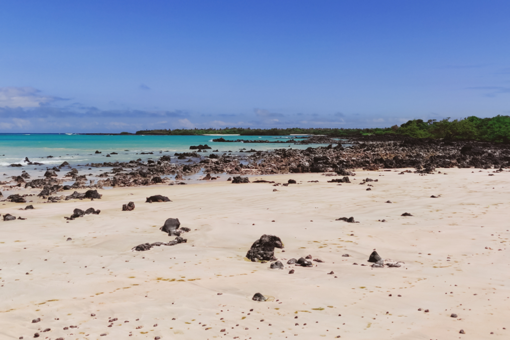 El Garrapatero | Santa Cruz Island, Galapagos | I Was There